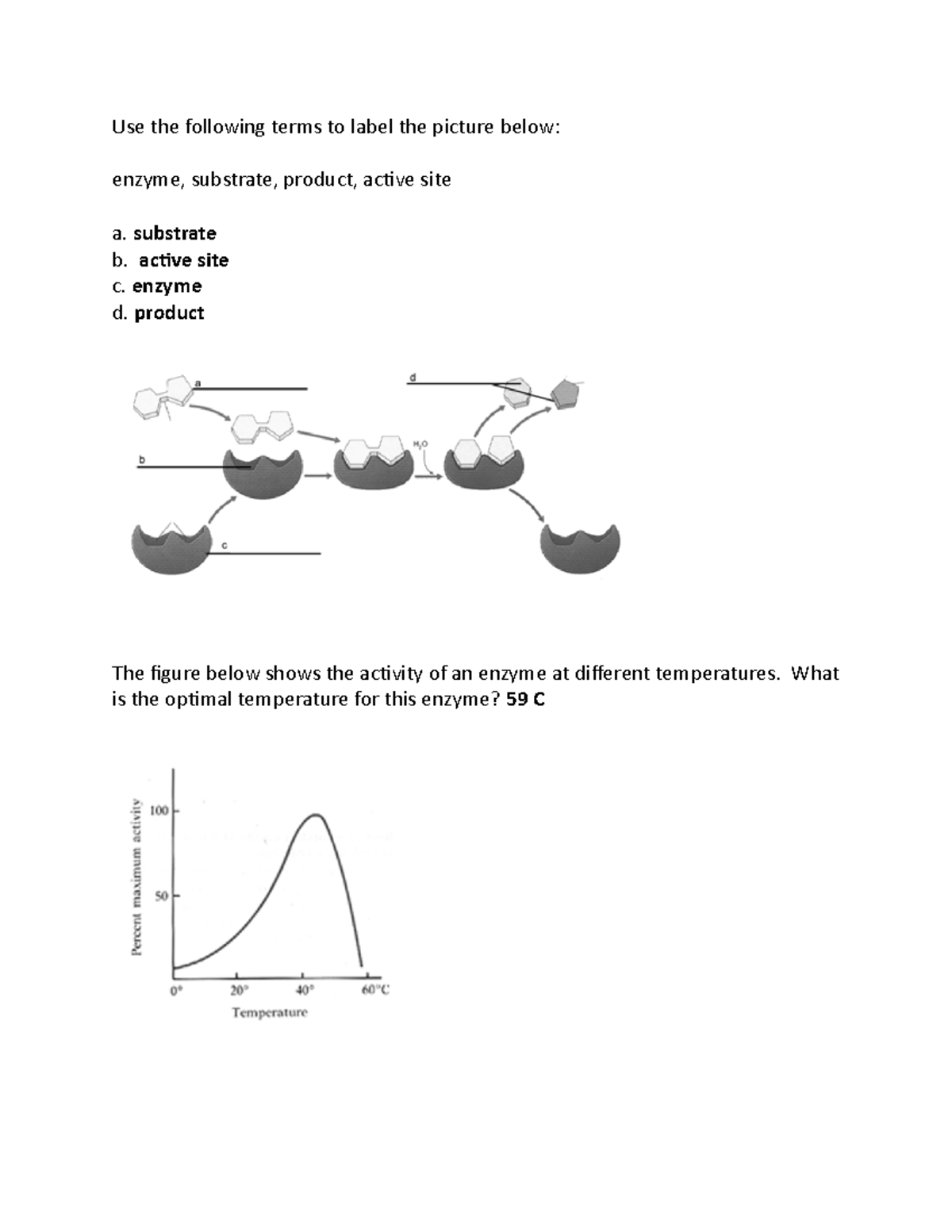 Chapter 6 class activity 2 - Use the following terms to label the ...