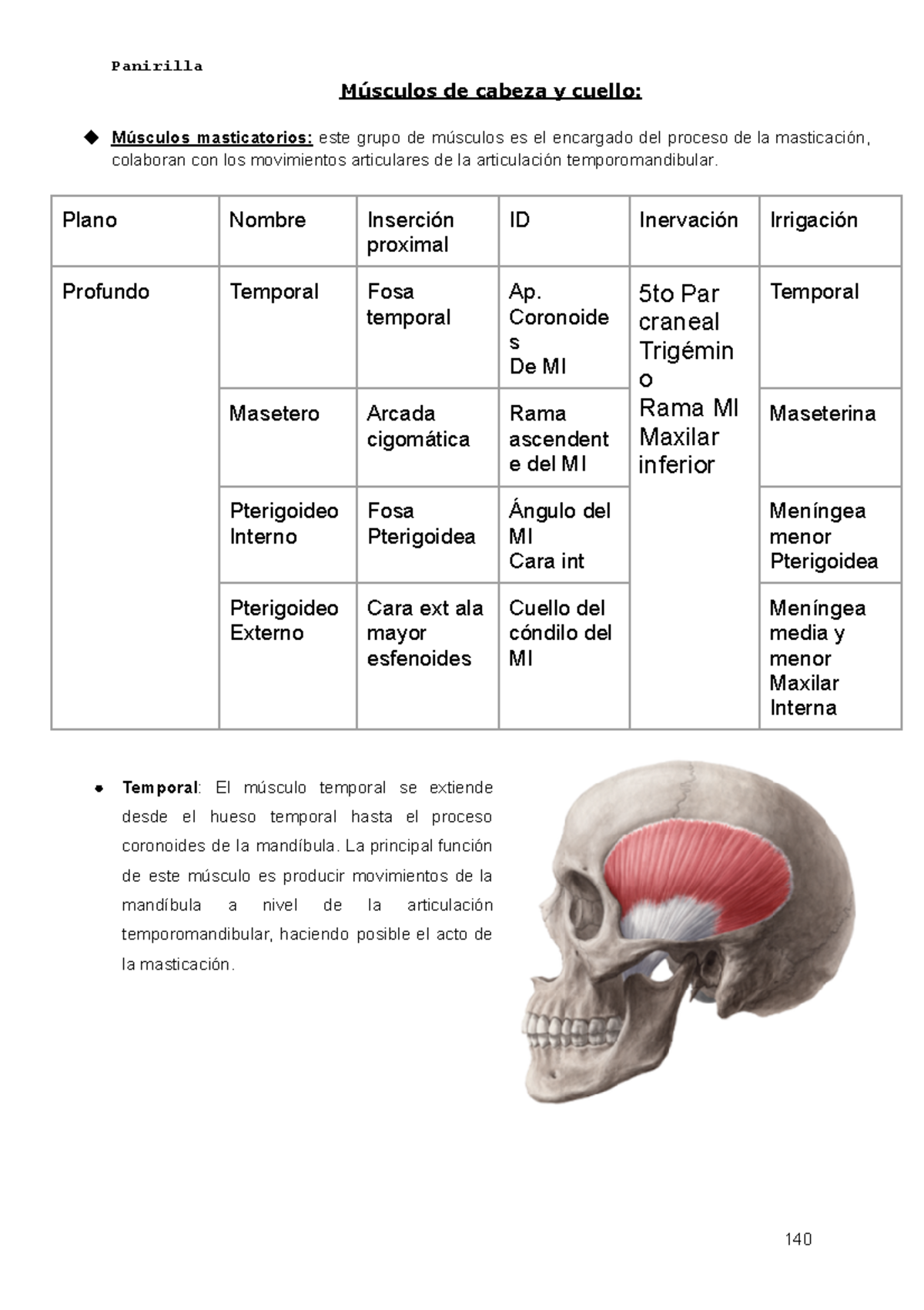 Musculos de la cabeza - Músculos de cabeza y cuello: Músculos masticatorios: este grupo de - Studocu