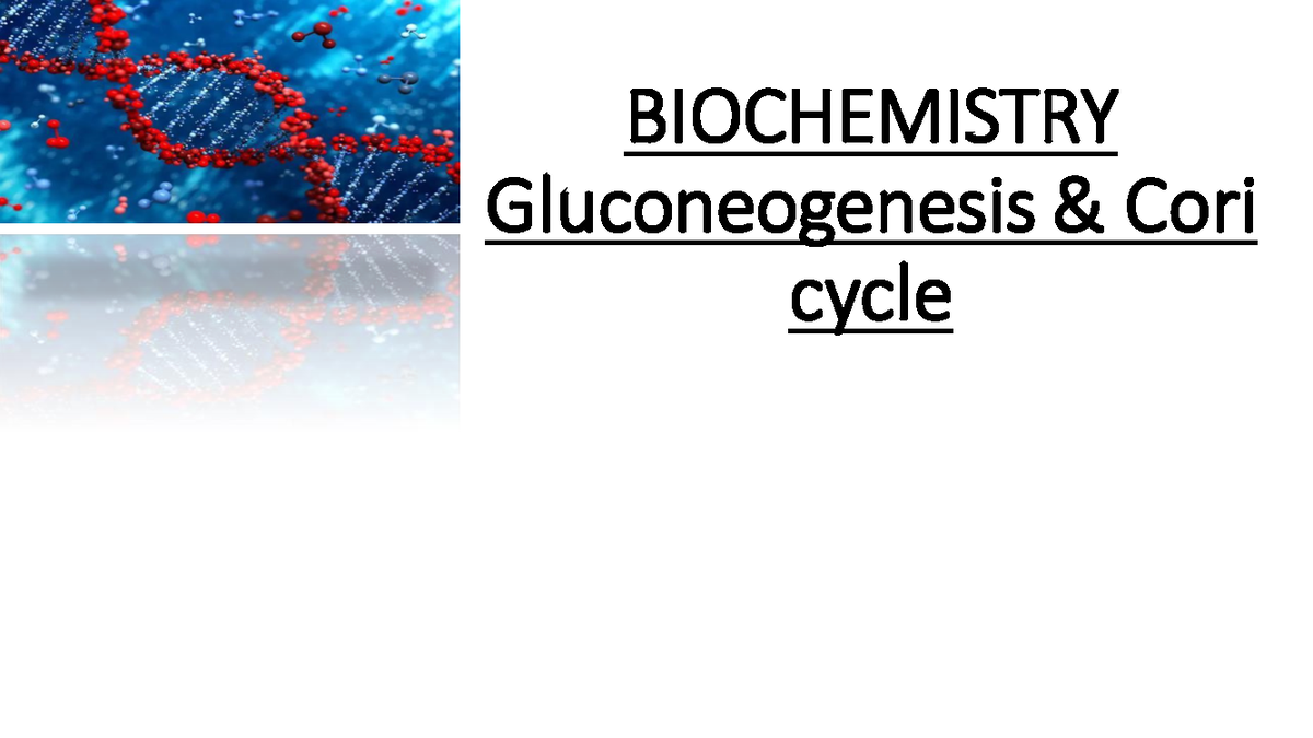 Cori cycle, glyconeogenesis - BIOCHEMISTRY Gluconeogenesis & Cori cycle ...
