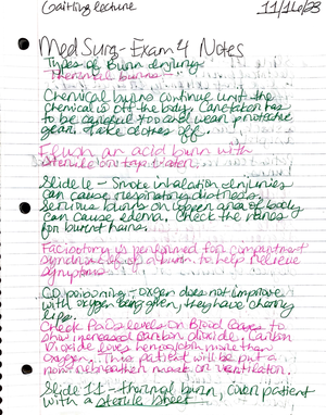 Newborn Concept Map - none - Arkansas State University NRSP 2361 ...