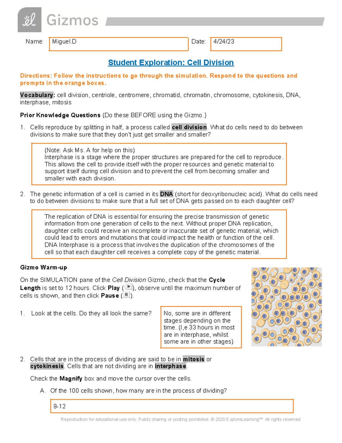 Copy of Cell Division SE - Name: Miguel Date: 4/24/ Student Exploration ...