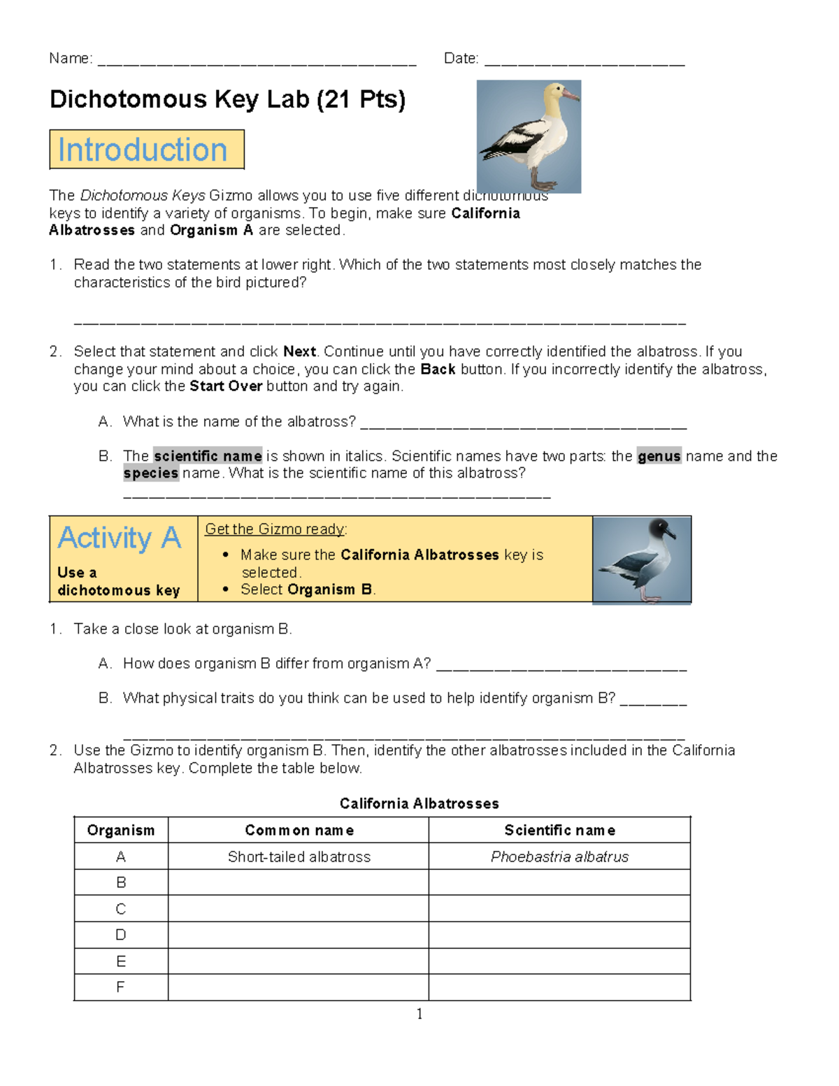 Dichotomous Key Gizmo Lab Report 2023 - Name ...