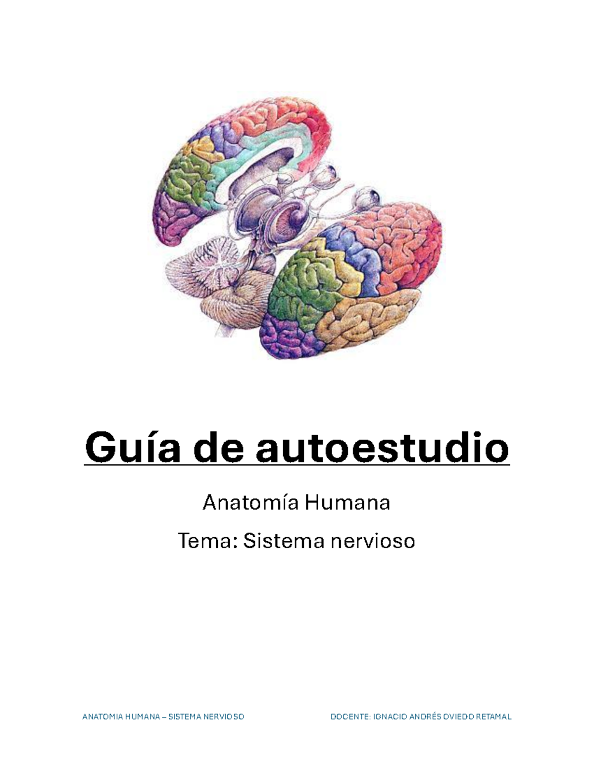 Gu%C3%ADa+de+autoestudio+Sistema+nervioso - Guía de autoestudio ...