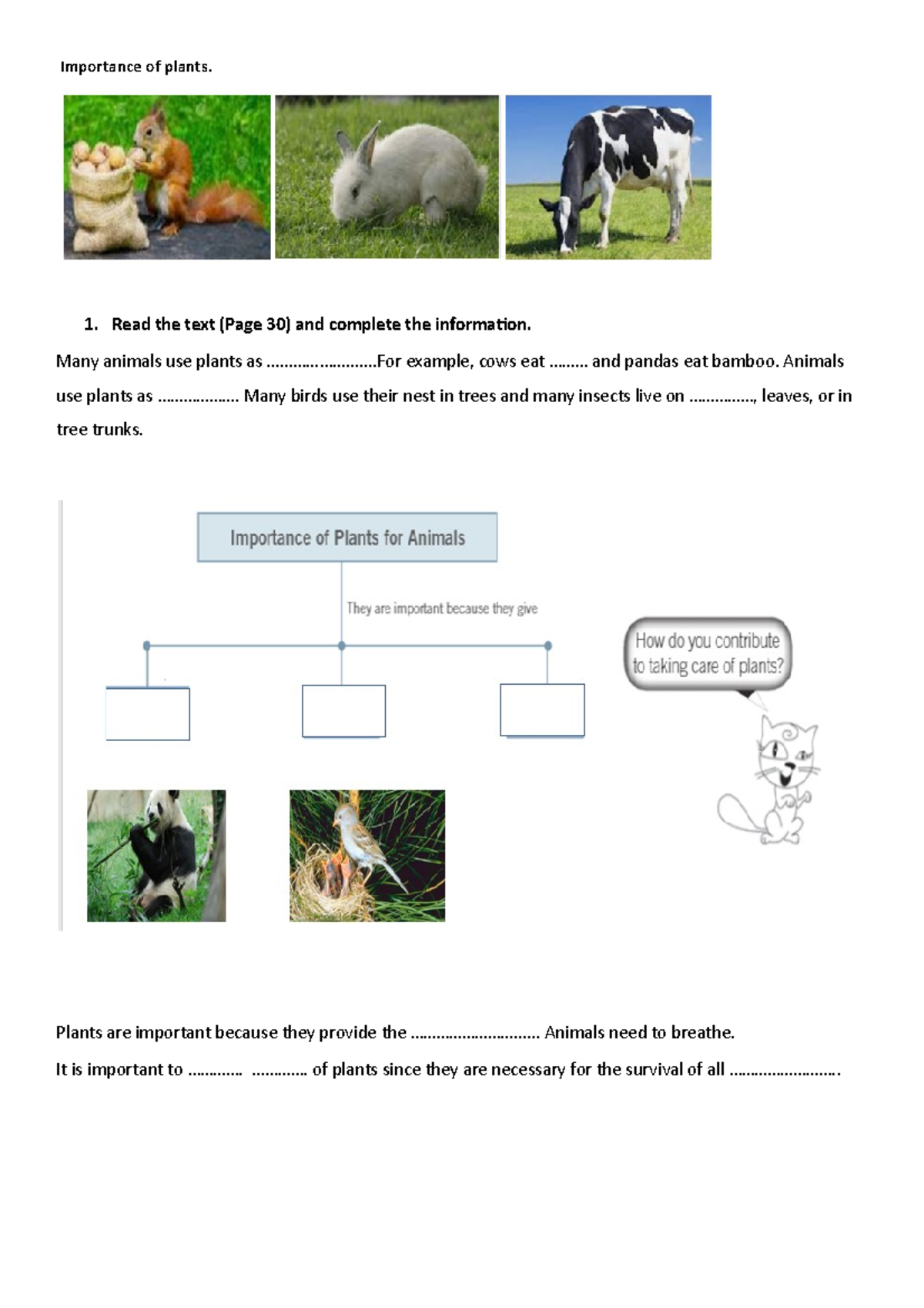 Science 4th project activities - Importance of plants. 1. Read the text ...