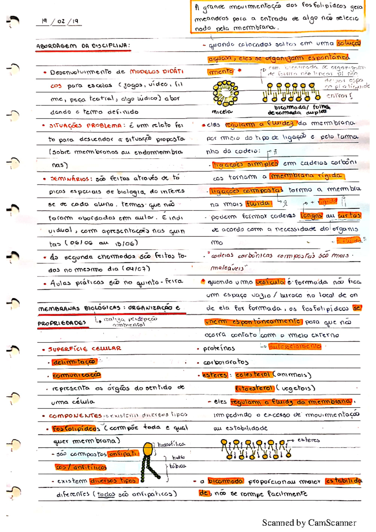 Resumo biocel - proteínas, fosfolipídeos, enzimas, membrana plasmática ...