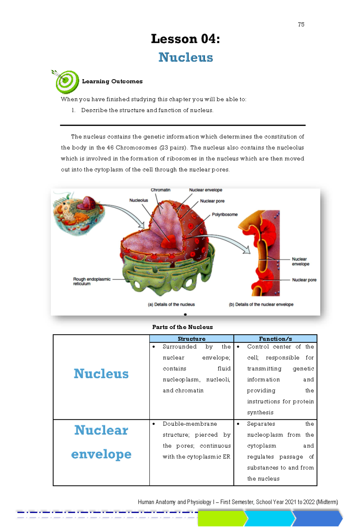 Cellular Level Module Lesson 4 - Learning Outcomes When you have ...