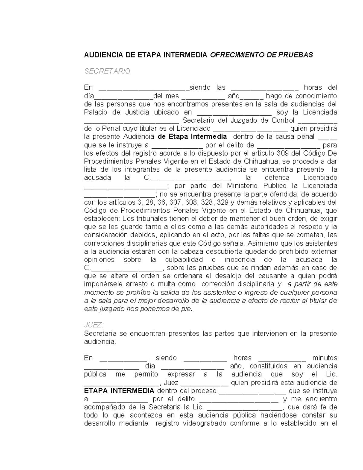 Audiencia etapa intermedia ofrecimiento de prueba - AUDIENCIA DE ETAPA ...
