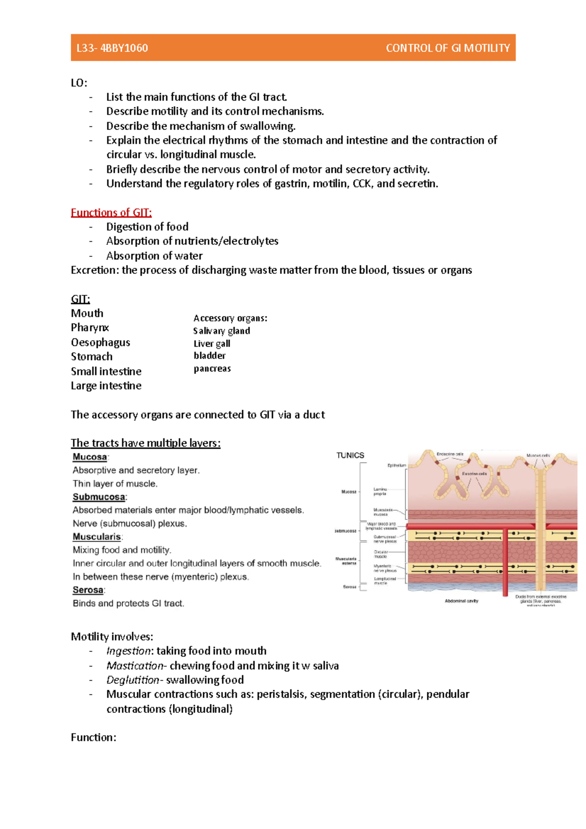 L33- Control of gastro-intestinal motility - LO: List the main ...