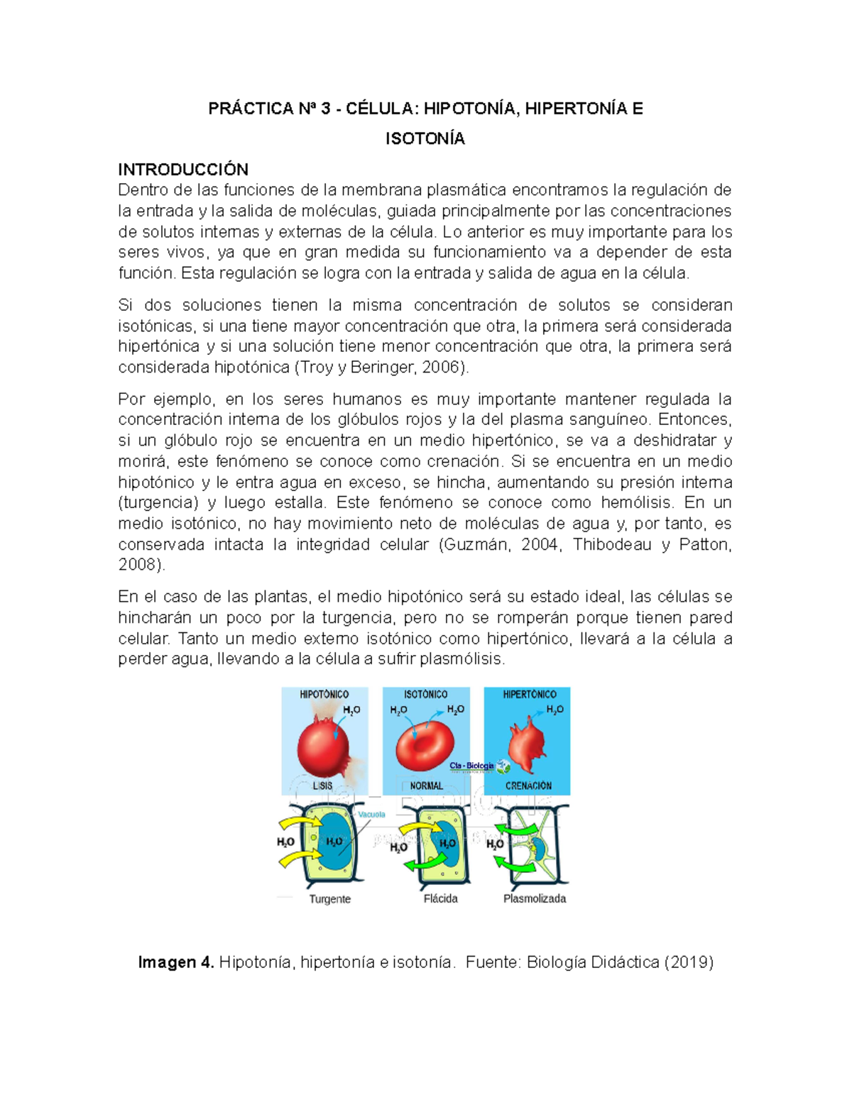 Practica laboratorio 3, 4 Linda Montoya - PRÁCTICA Nª 3 - CÉLULA ...