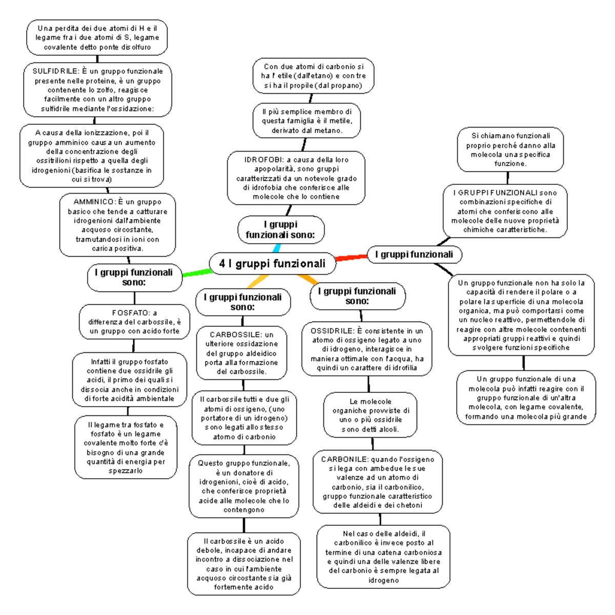 4 I gruppi funzionali - Esame Psicobiologia Mappa - 4 I gruppi funzionali I gruppi funzionali I ...