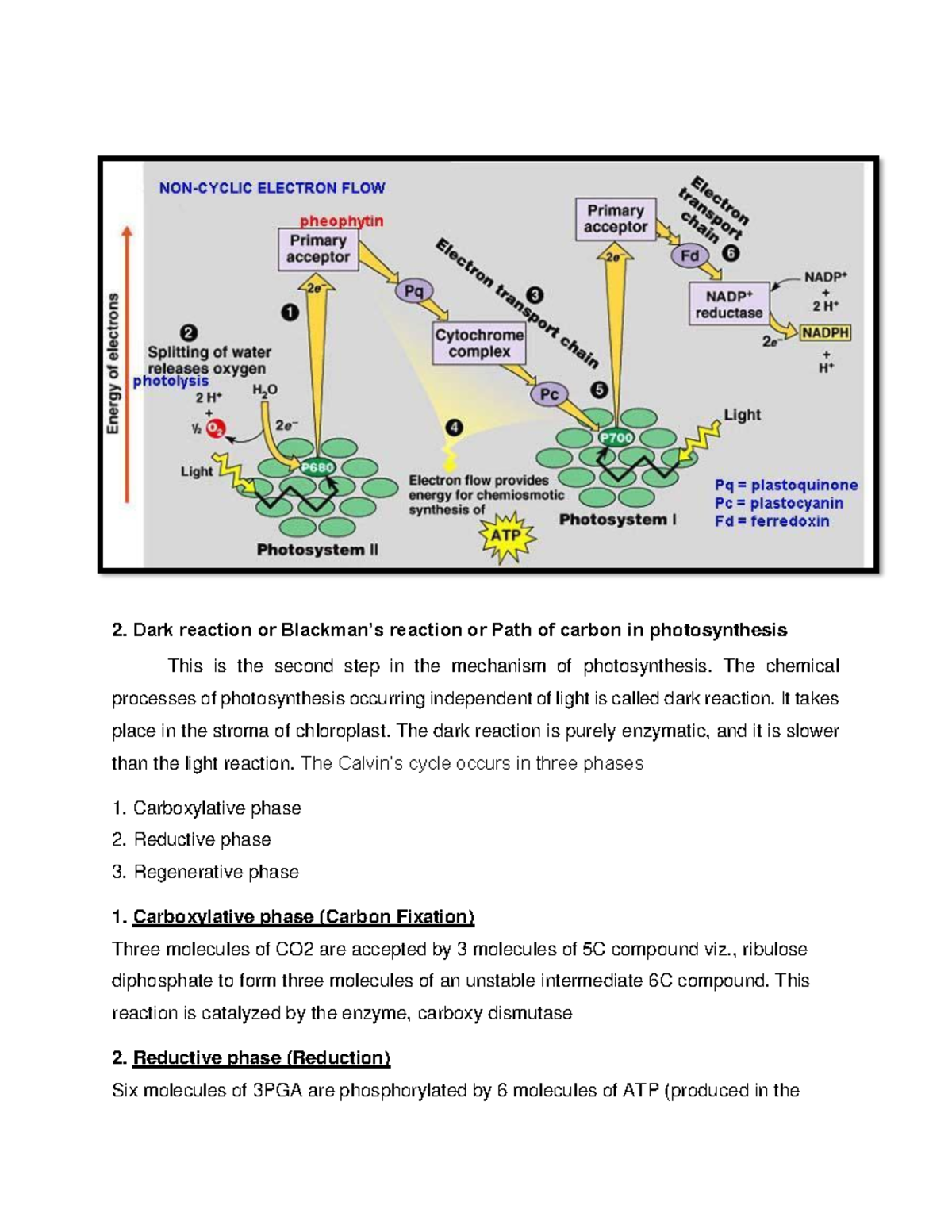 Photosynthesis - Crop Physiology - 2. Dark reaction or reaction or Path ...