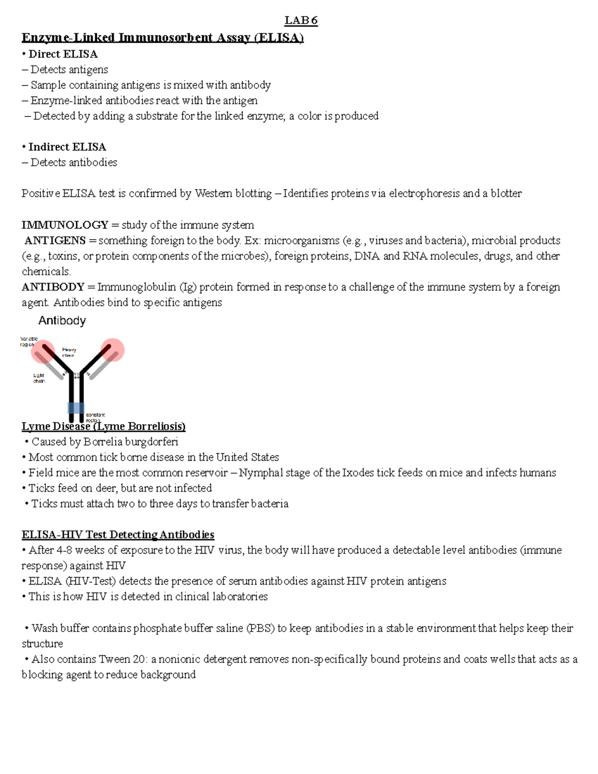 LAB Practicum 6 notes - LAB 6 Enzyme-Linked Immunosorbent Assay (ELISA ...