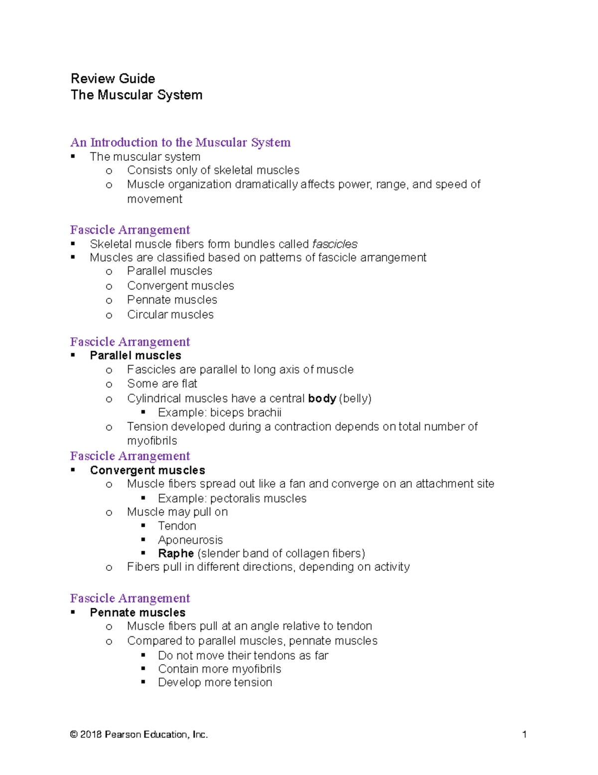 Review Guide - The Mascular System - Warning: TT: undefined function: 32 Review Guide The ...