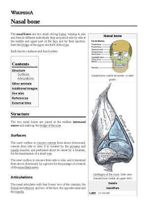Temporal bone - nth - Temporal bone Position of temporal bone (shown in ...