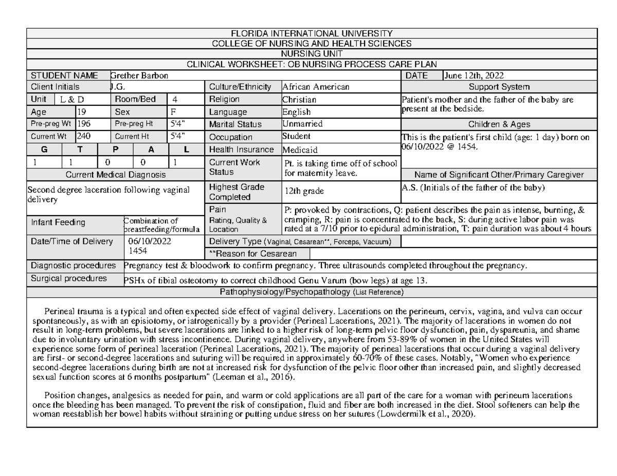 OB Nursing Care Plan #1 - N/A - FLORIDA INTERNATIONAL UNIVERSITY ...