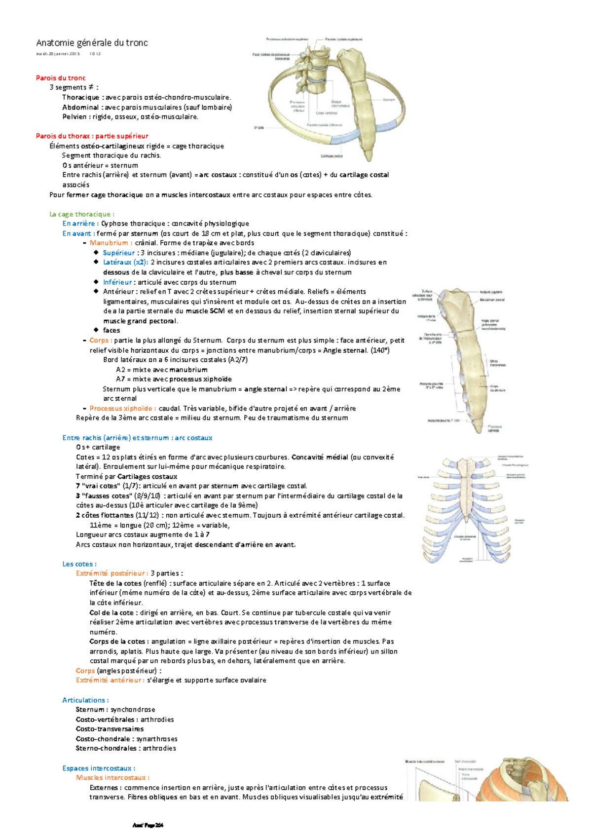 Anatomie générale du tronc - Thoracique: avec parois ostéo­chondro ...