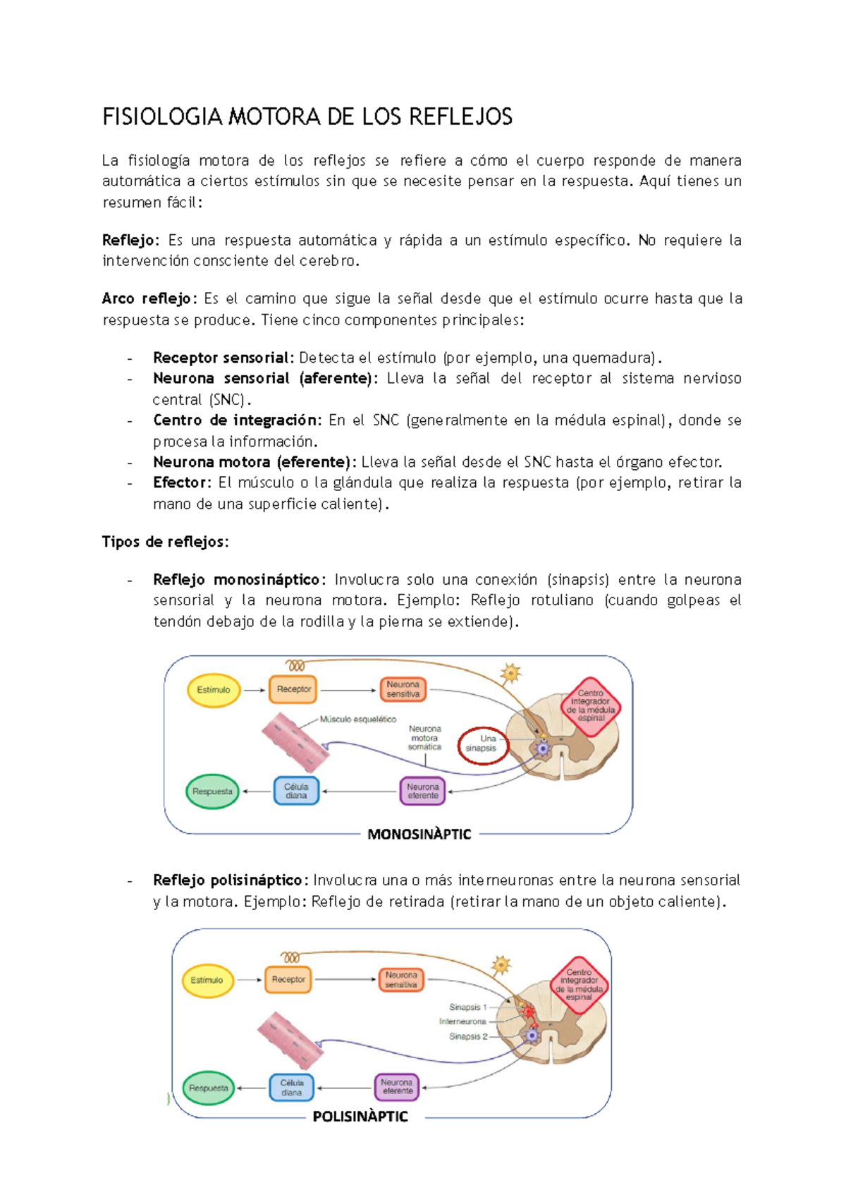 Fisiologia motora dels reflexes-2 - FISIOLOGIA MOTORA DE LOS REFLEJOS ...