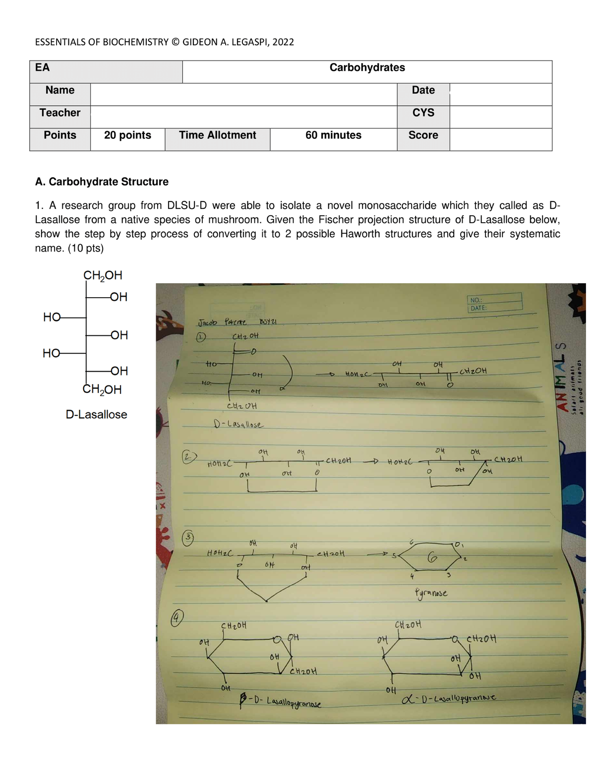 EA7 - PS on Carbohydrates - biologyyyy - Shawn Jacob G. Potente Mr ...
