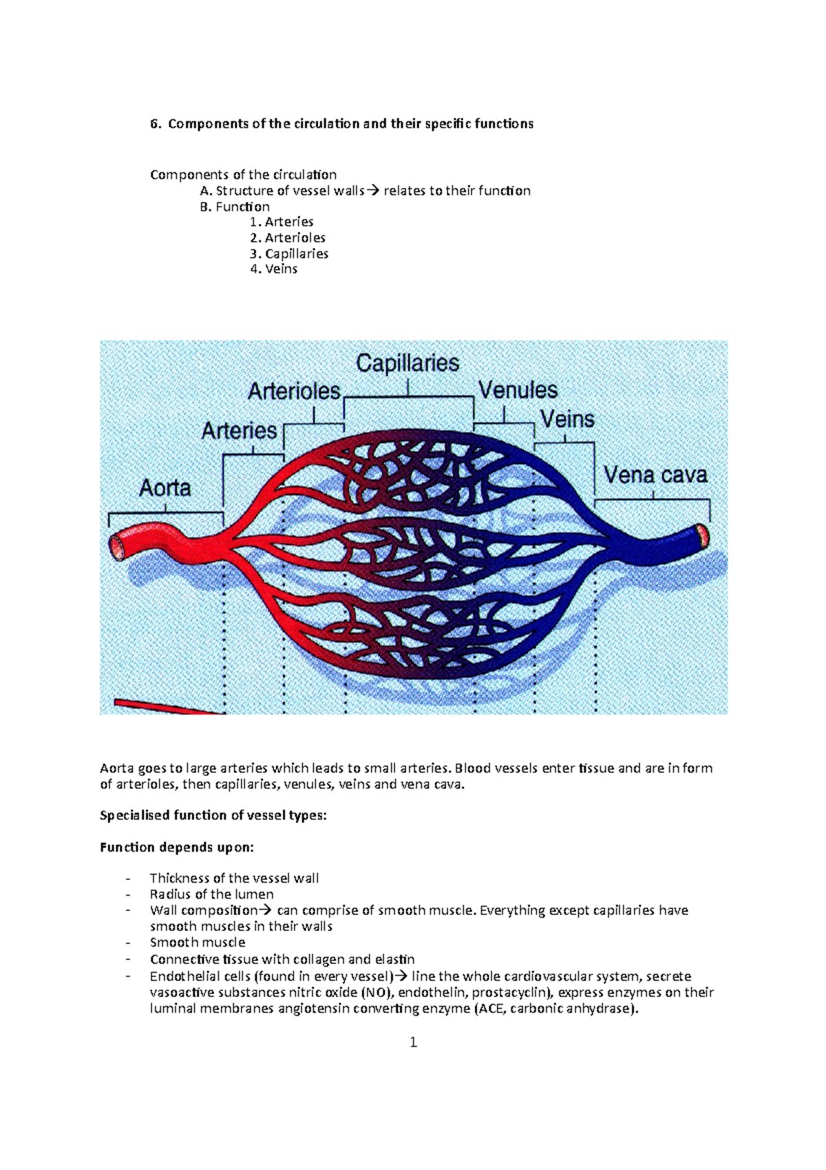 Components of the circulation and their specific functions - Components ...
