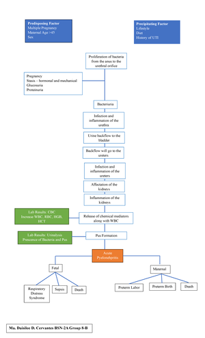 Worksheet 2 - MMMMMMMMMMMM - PROJECT___________ MATHEMATICS 1 - Studocu