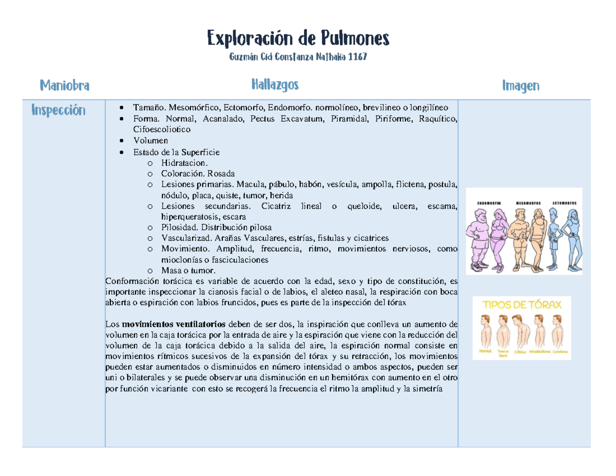 Exploracion Toracica - Tamaño. Mesomórfico, Ectomorfo, Endomorfo ...