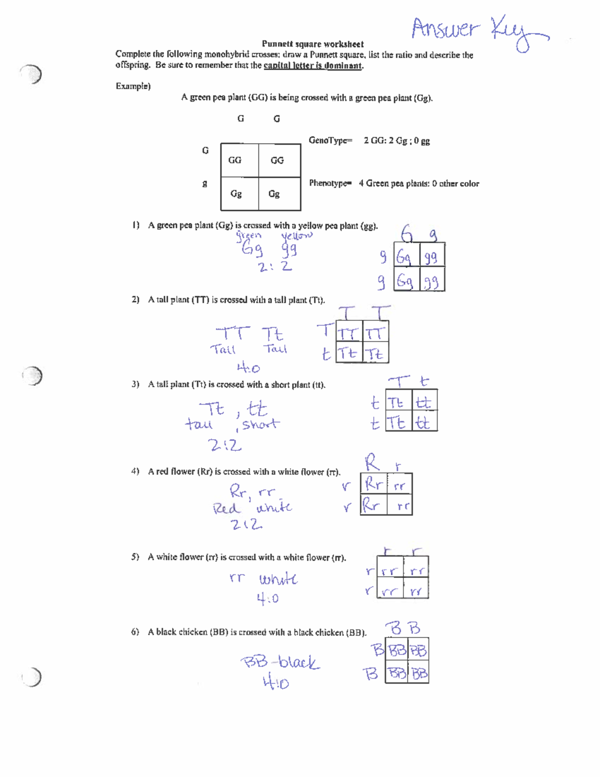 Punnett square practice answer ke - Studocu