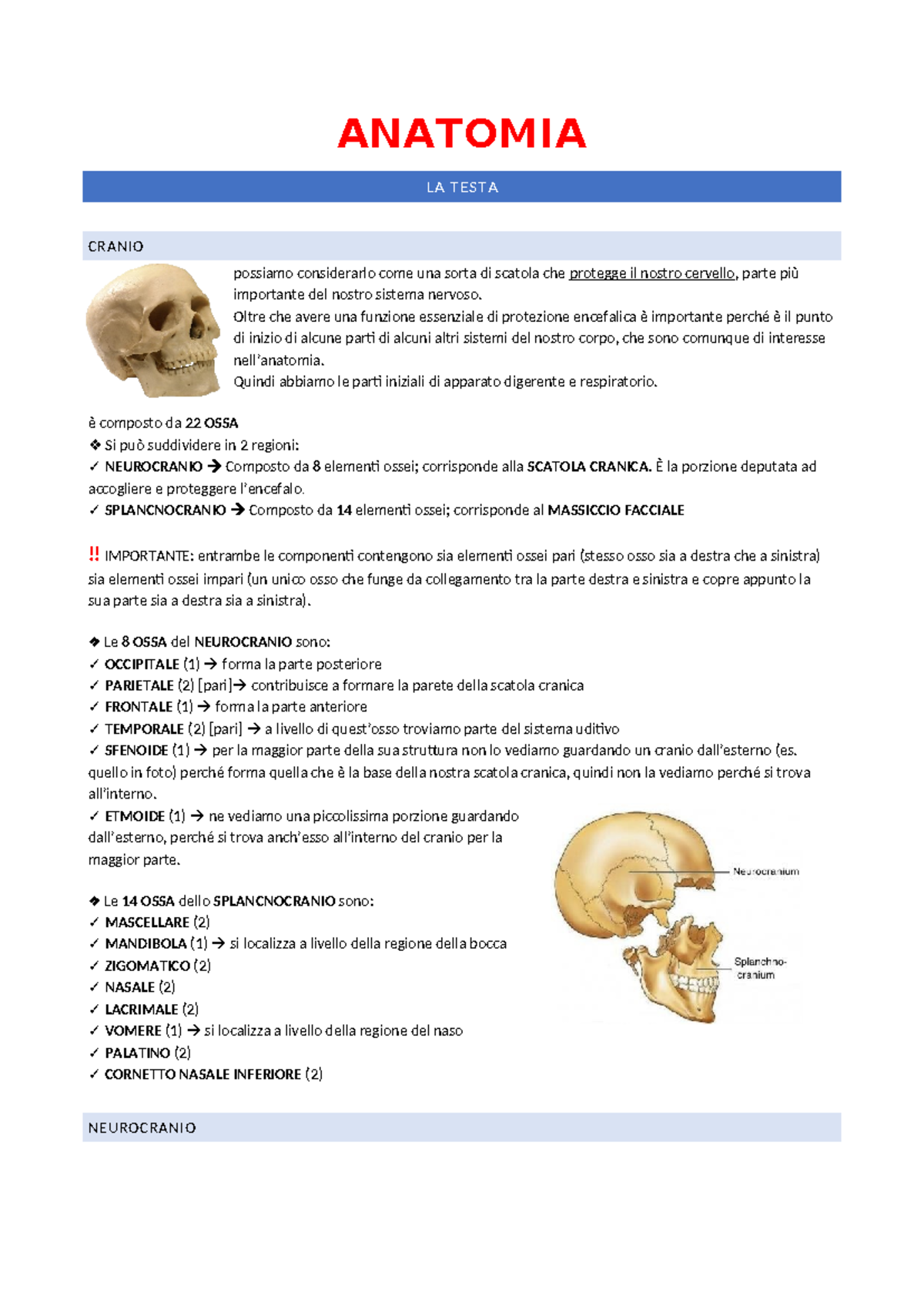 Anatomia completa - ANATOMIA LA TESTA CRANIO possiamo considerarlo come ...