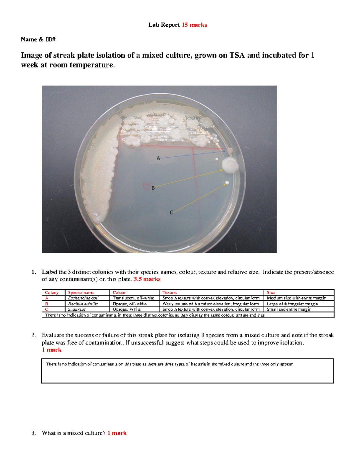 MICR2420 Lab Report Week 1 - Lab Report 15 marks Name & ID# Image of ...