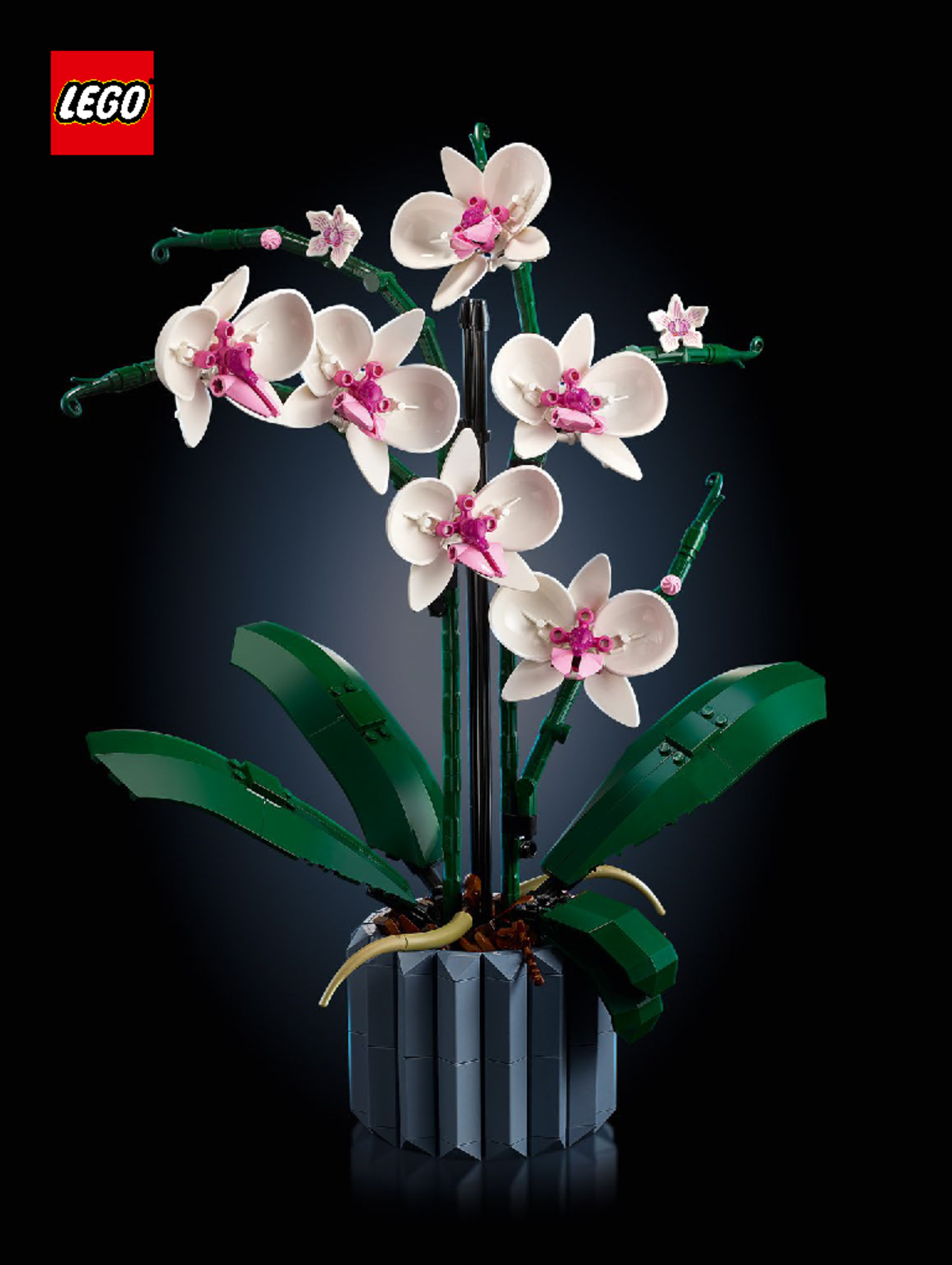 Lego orchidée - APPRÉCIÉE DEPUIS DES SIÈCLES, TOUJOURS EN FLEURS ...