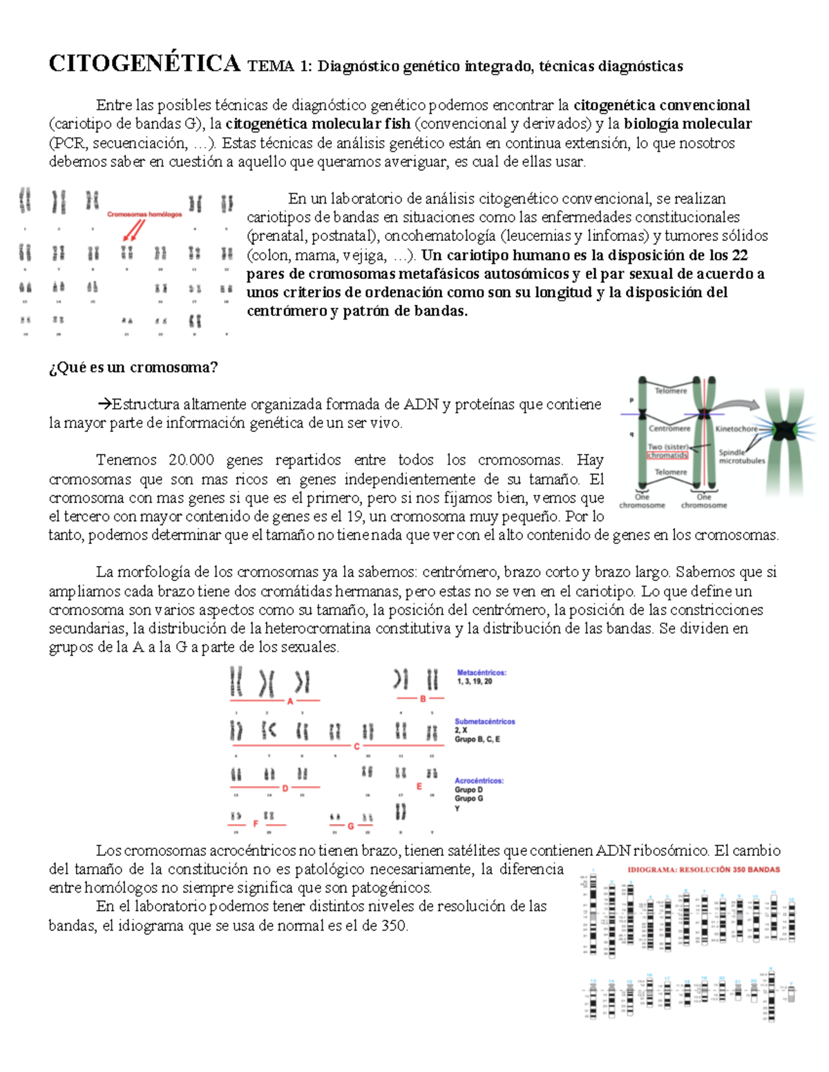Citogenética TEMA 1 - Apuntes 1 - CITOGENÉTICA TEMA 1: Diagnóstico ...