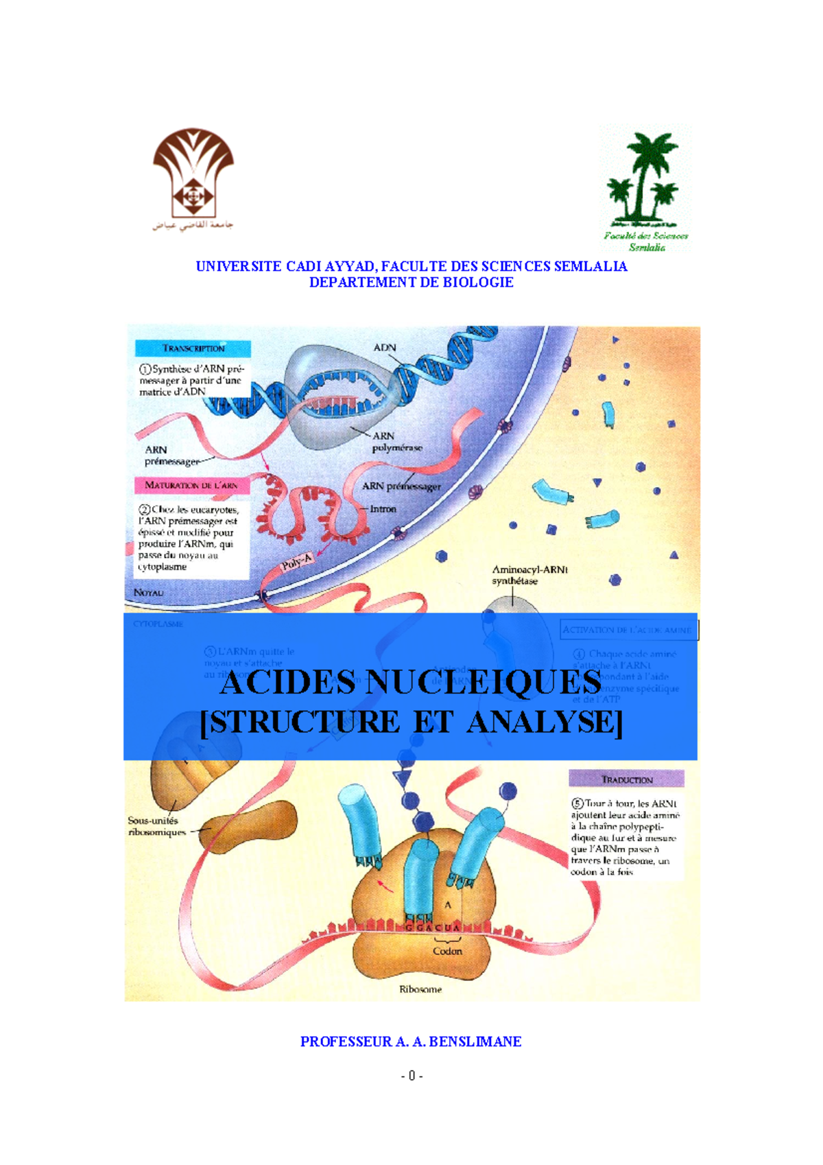 Cours acide nucléique - UNIVERSITE CADI AYYAD, FACULTE DES SCIENCES ...
