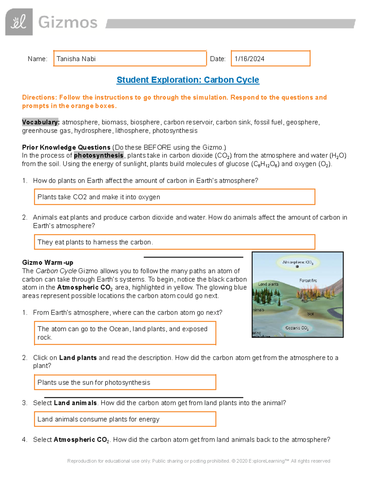 Copy of Carbon Cycle SE - Name: Tanisha Nabi Date: 1/16/ Student ...