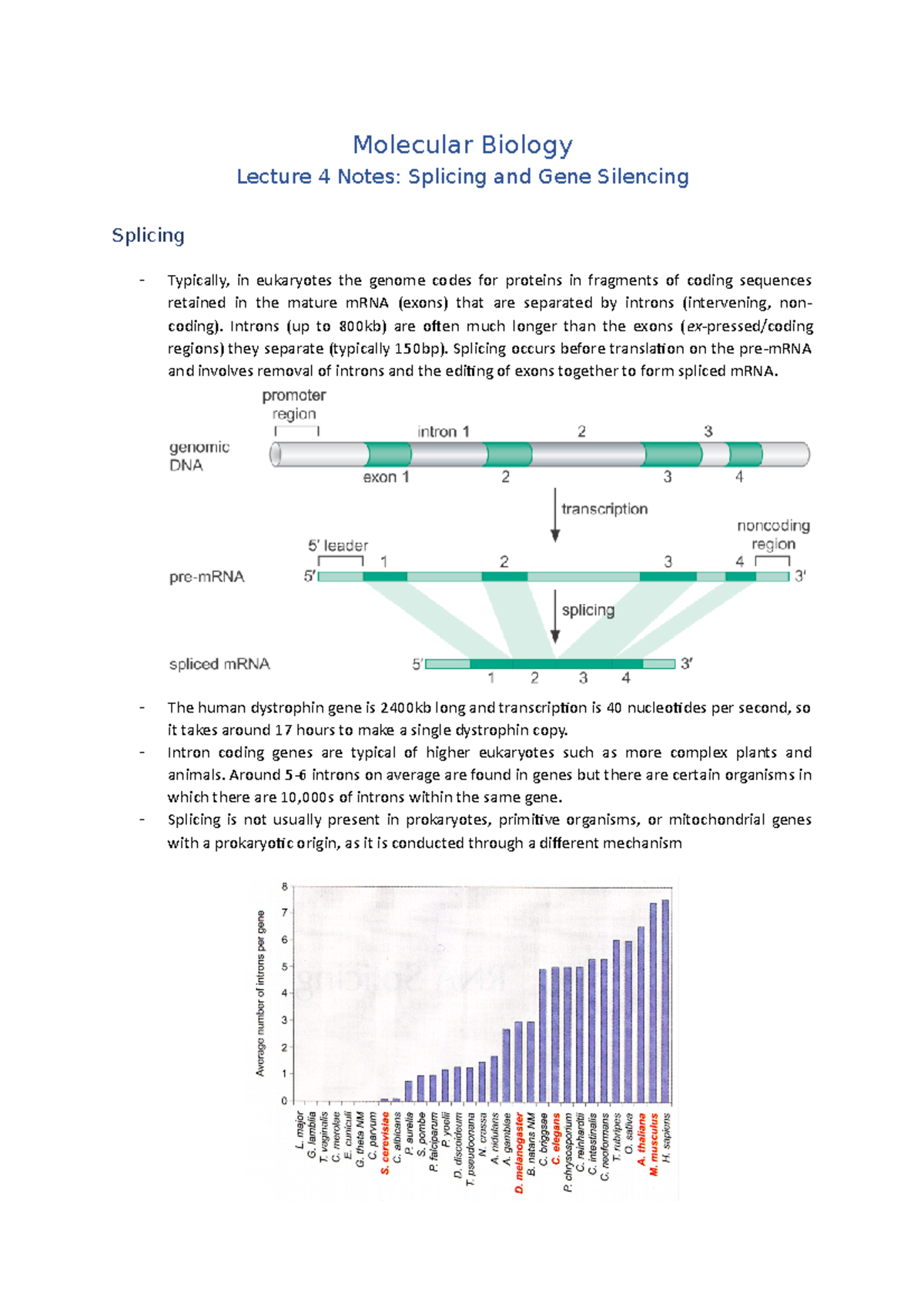 Lecture 4 Notes (Splicing and Gene Silencing) - Molecular Biology ...