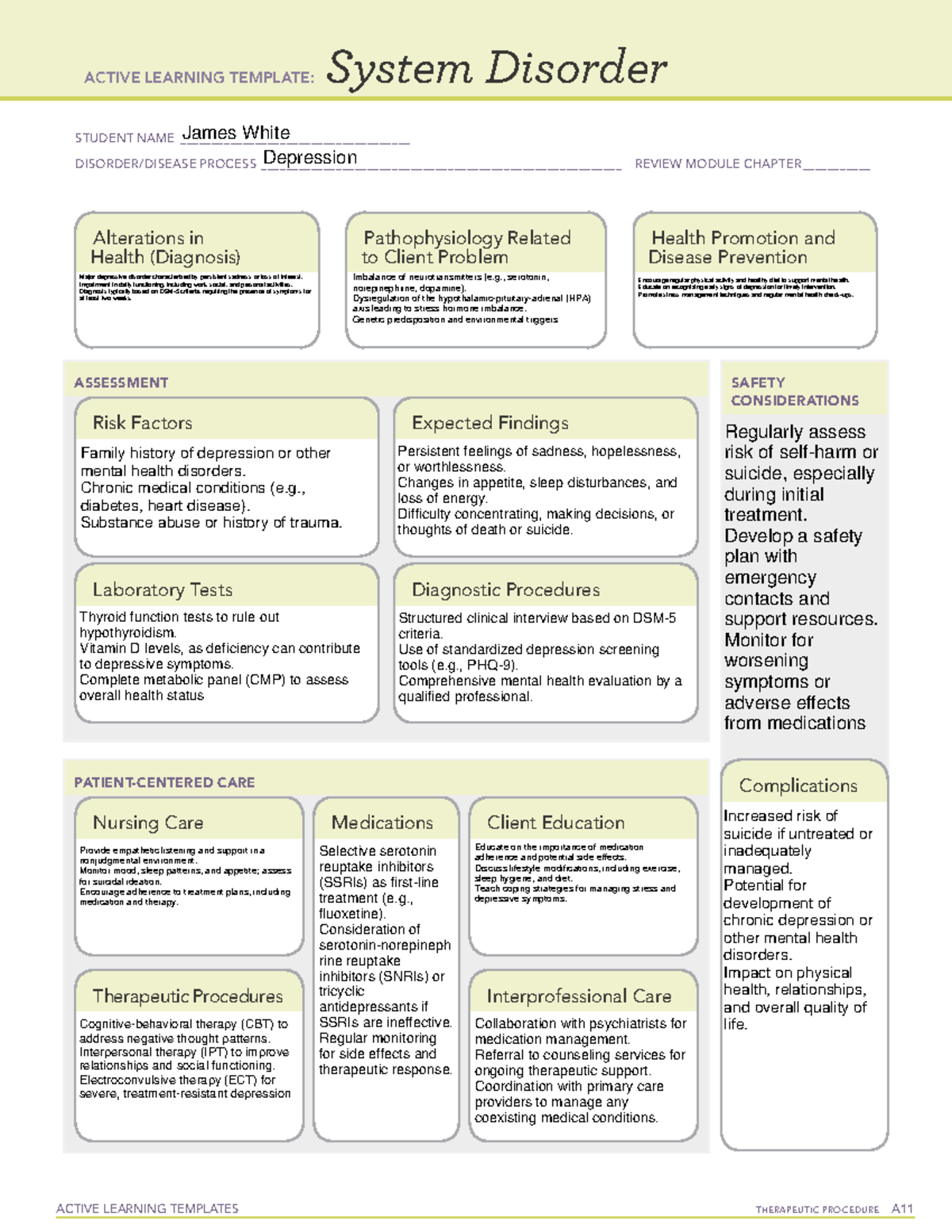 Depression - ACTIVE LEARNING TEMPLATES TherapeuTic procedure A System ...