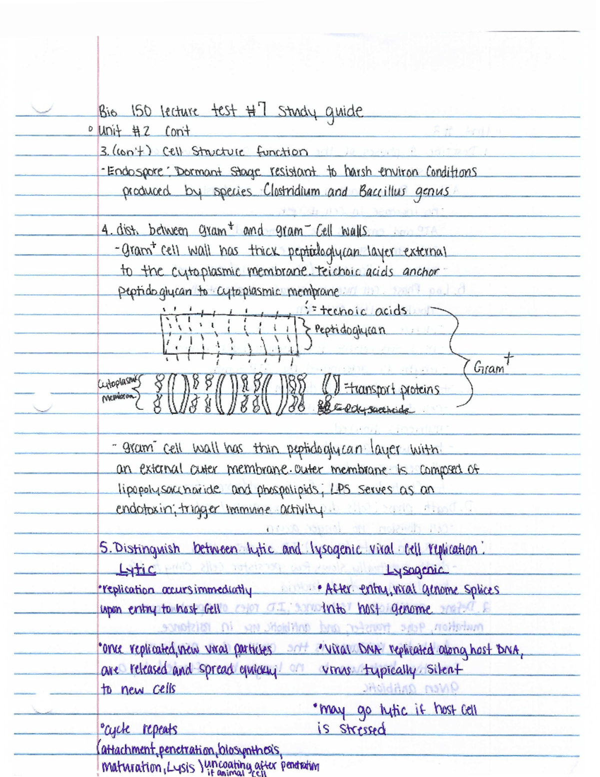 Unit 7 Test study 2 - Bie (56 lecture test 411 Simdy Quid o unk 42 Cont ...