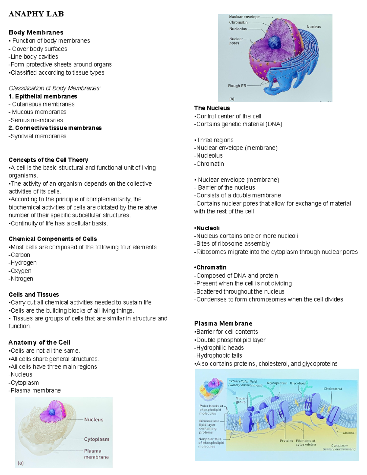 Inbound 8502662442752098795 - ANAPHY LAB Body Membranes Function of ...