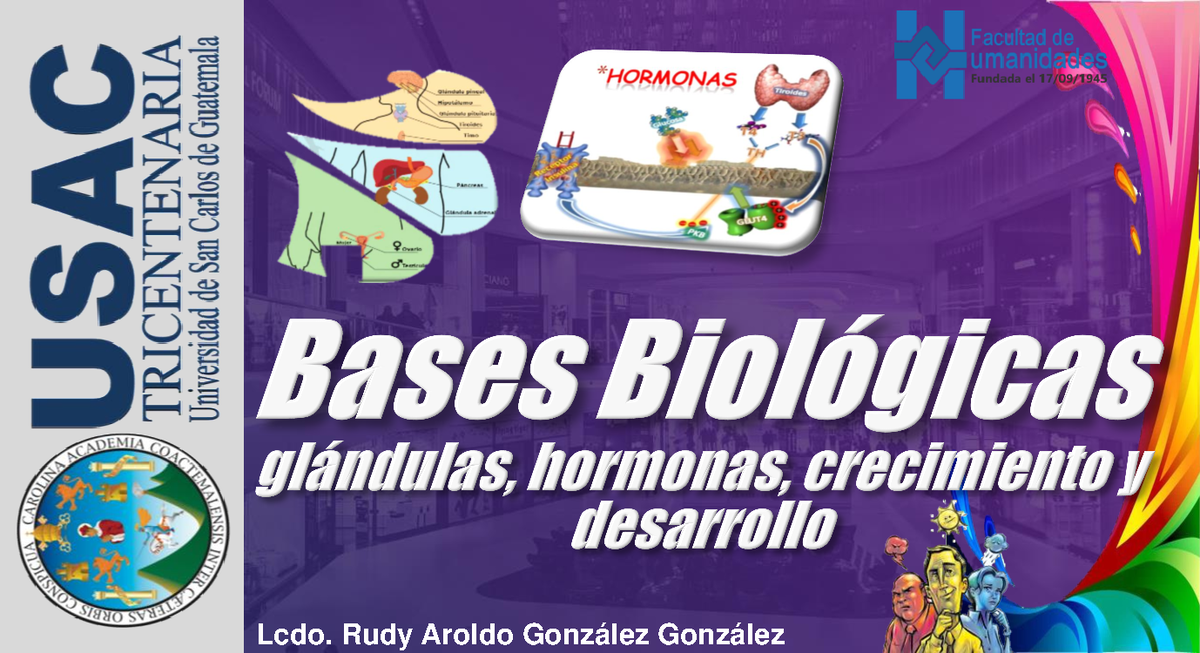 2.1. Bases Biologicas - glandulas, hormonas y crecimiento y desarrollo ...