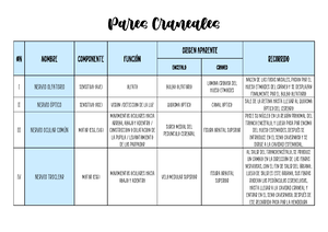Boca y Faringe - Texto obtenido del Rouviere - CAVIDAD ORAL O BUCAL Es ...