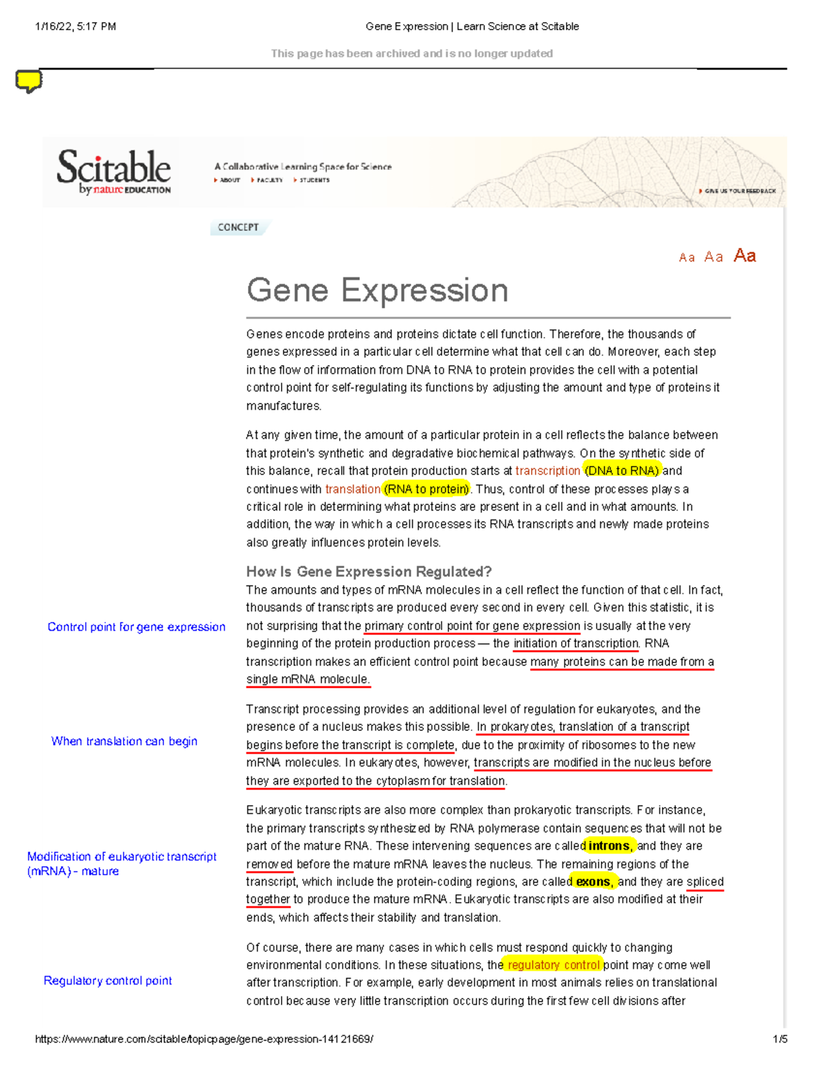 Module 1 (Reading) - Gene Expression - Aa Aa Aa Gene Expression Genes ...