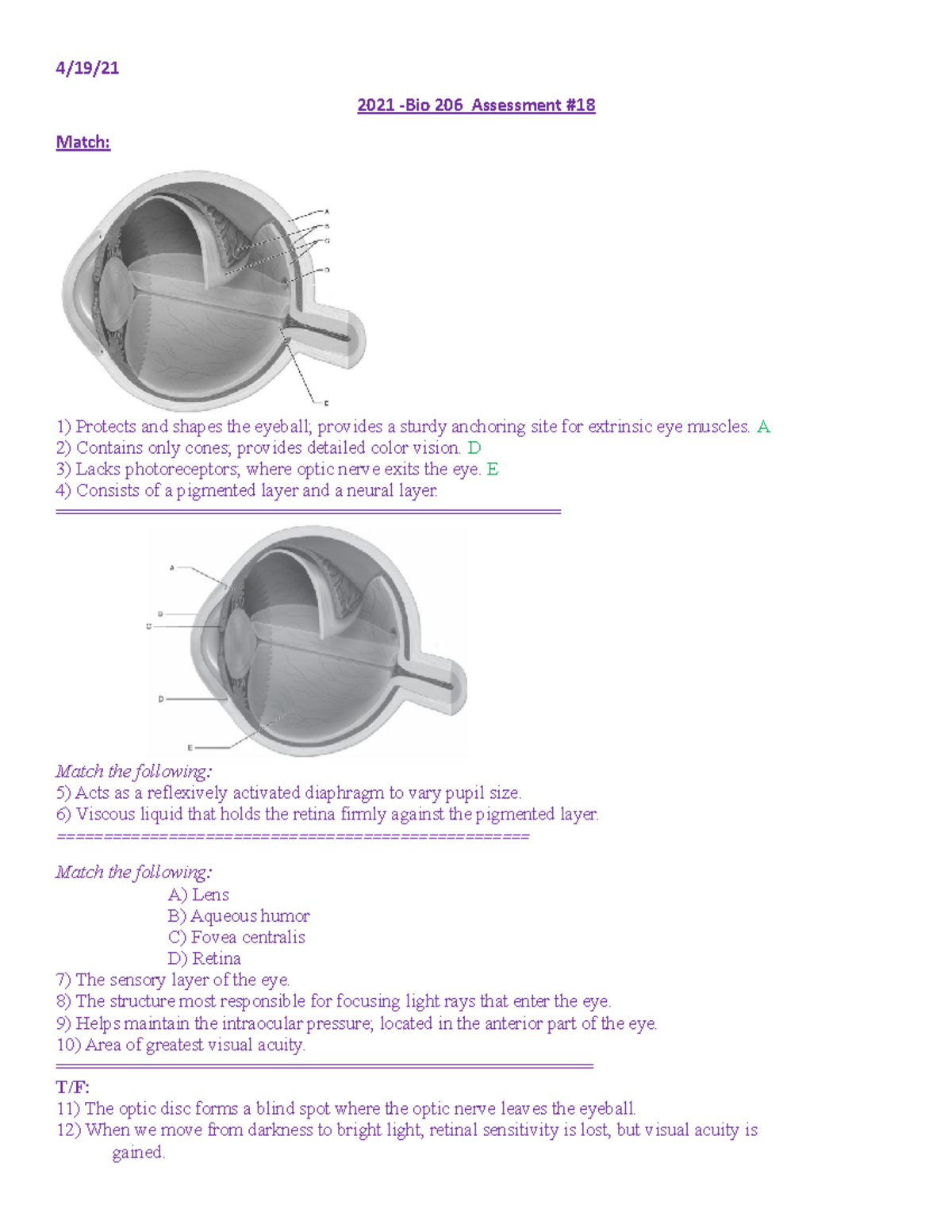 Eye and Ear Assessment - Studocu