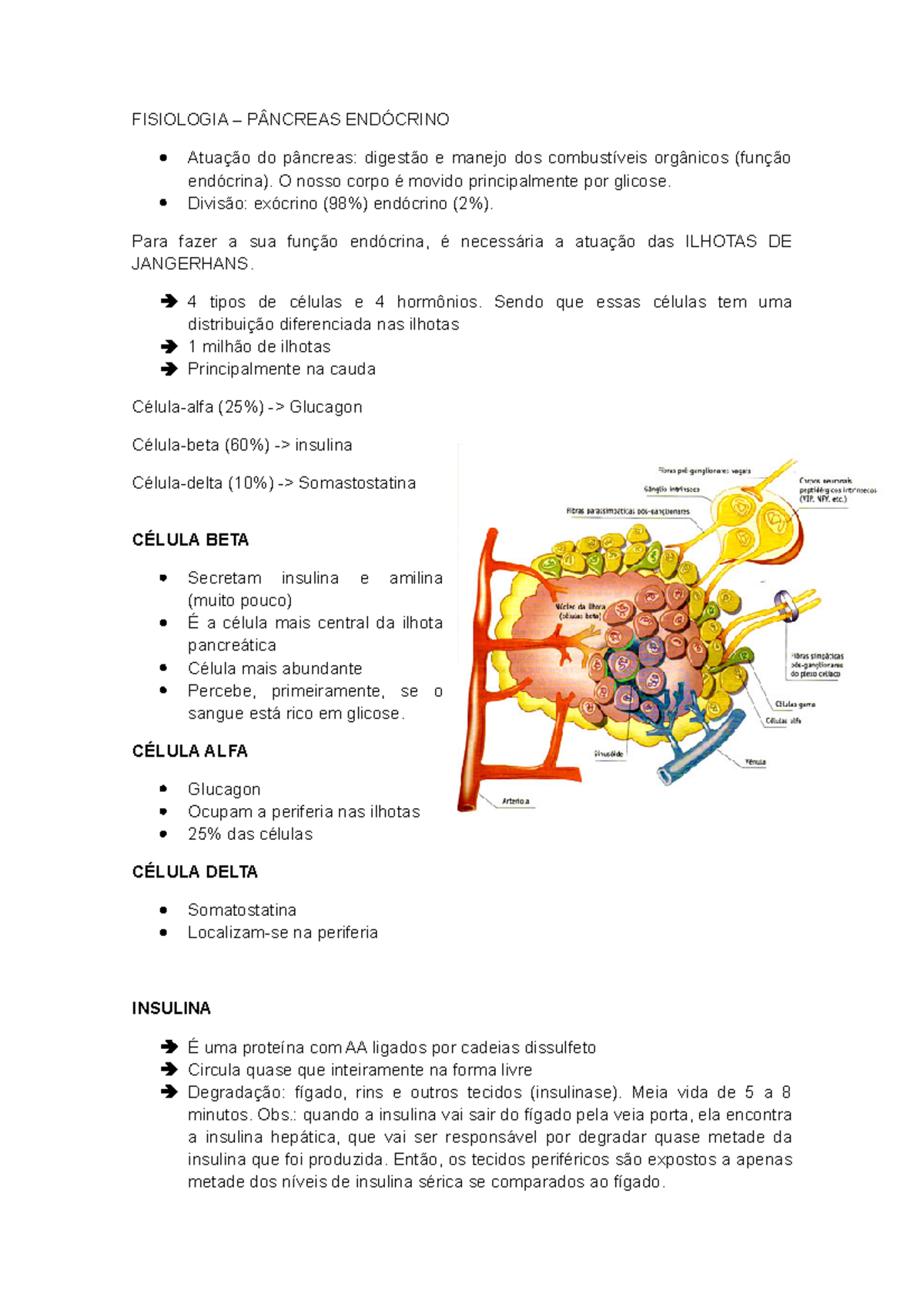 Fisiologia II - AULA 4- Pancreas - FISIOLOGIA – PÂNCREAS ENDÓCRINO ...