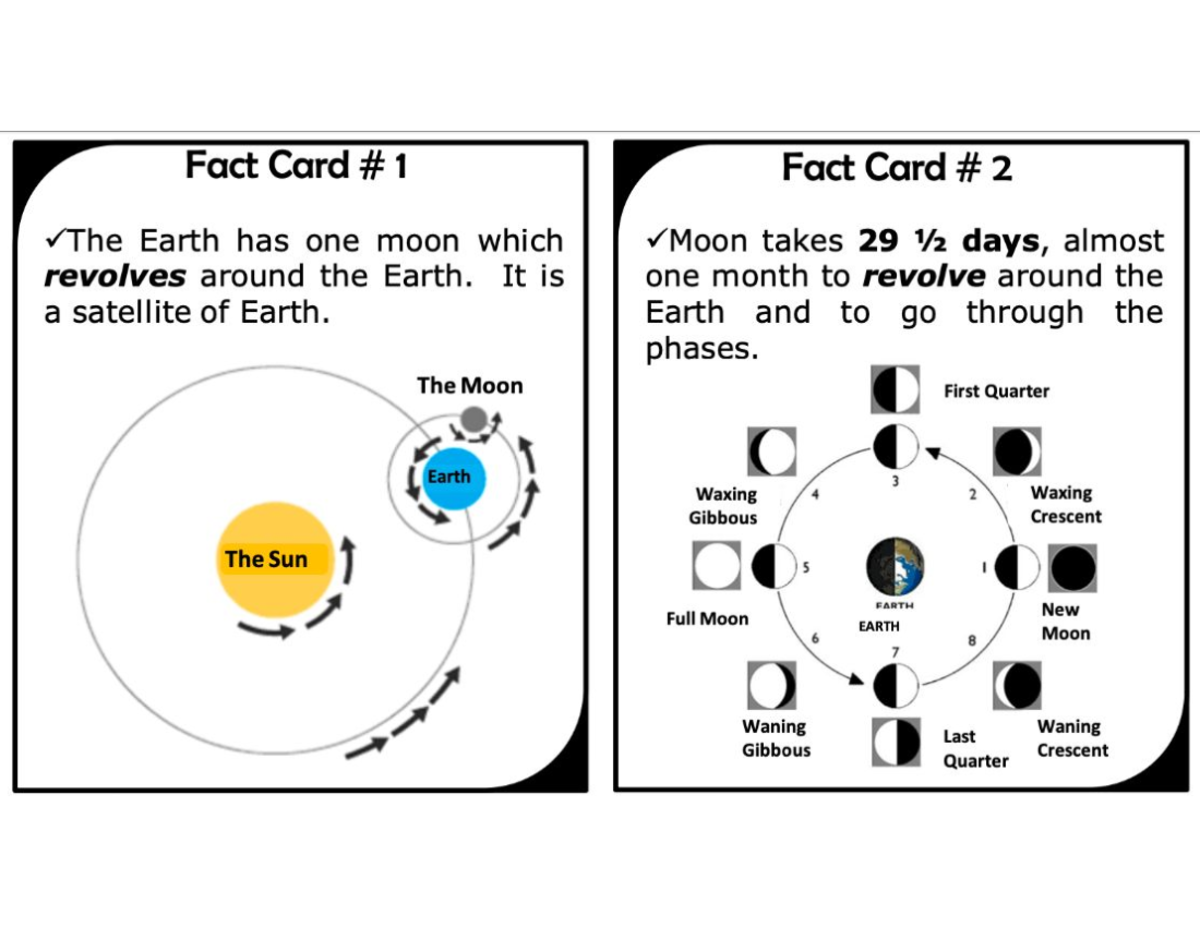 Moon Phases and Tides Fact Cards - Tides change between high and low ...