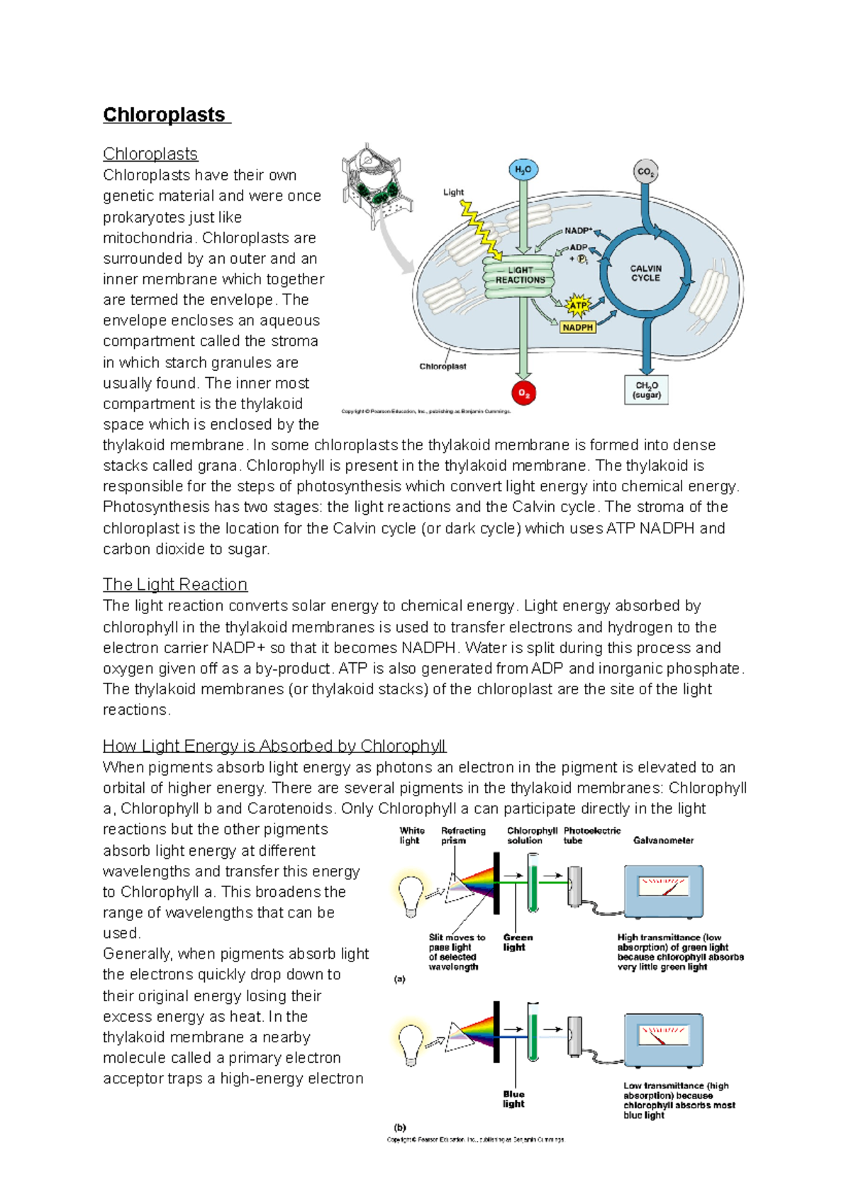 6. Chloroplasts - Lecture notes 6 - Chloroplasts Chloroplasts ...