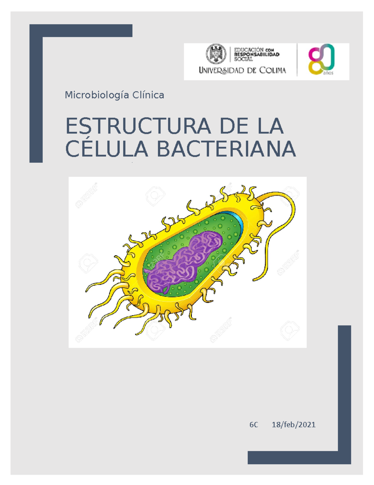 6C Célula Bacteriana - Apuntes generales de la célula - Microbiología ...