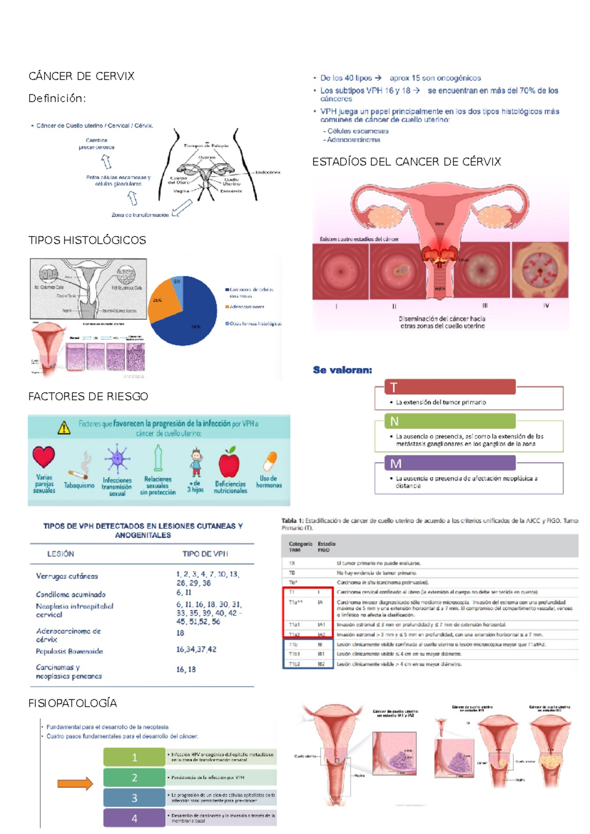 Cáncer DE Cervix - cirugia general - CÁNCER DE CERVIX Definición: TIPOS ...