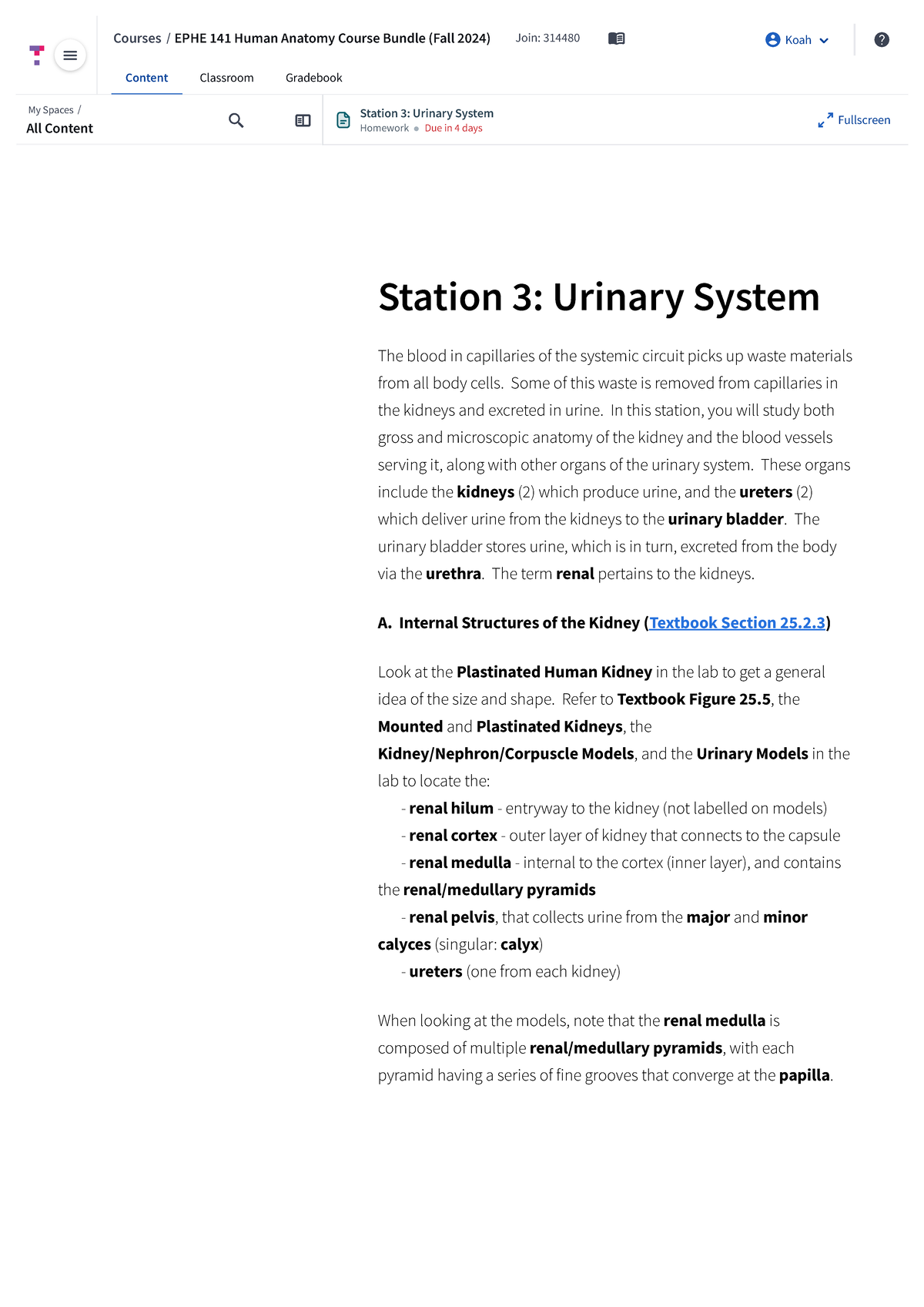 Urinary system - Join: 314480 Content Classroom Gradebook Courses ...