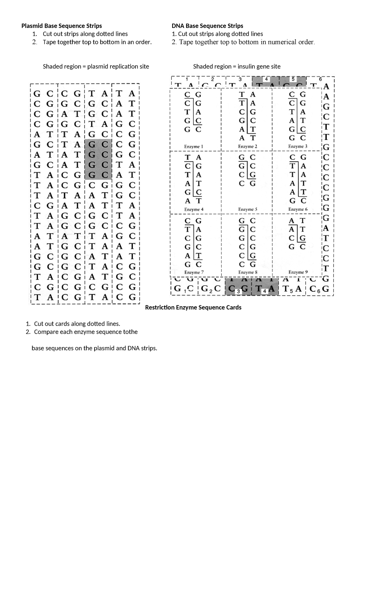 Activity 1 REcombinant DNA 1 - Corporate Law Psychology - Plasmid Base ...