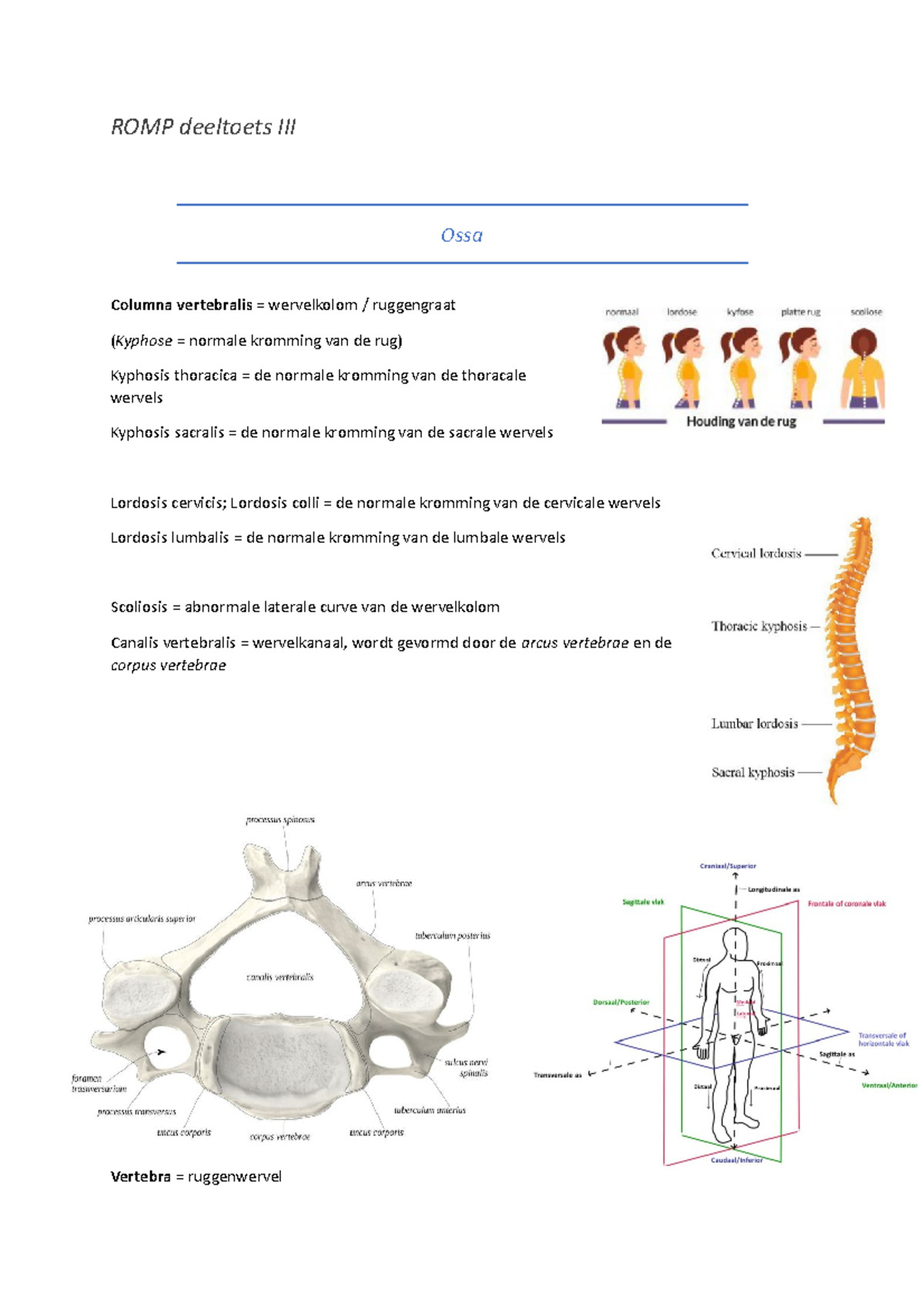 ROMP deeltoets III - ROMP deeltoets III Ossa Columna vertebralis ...