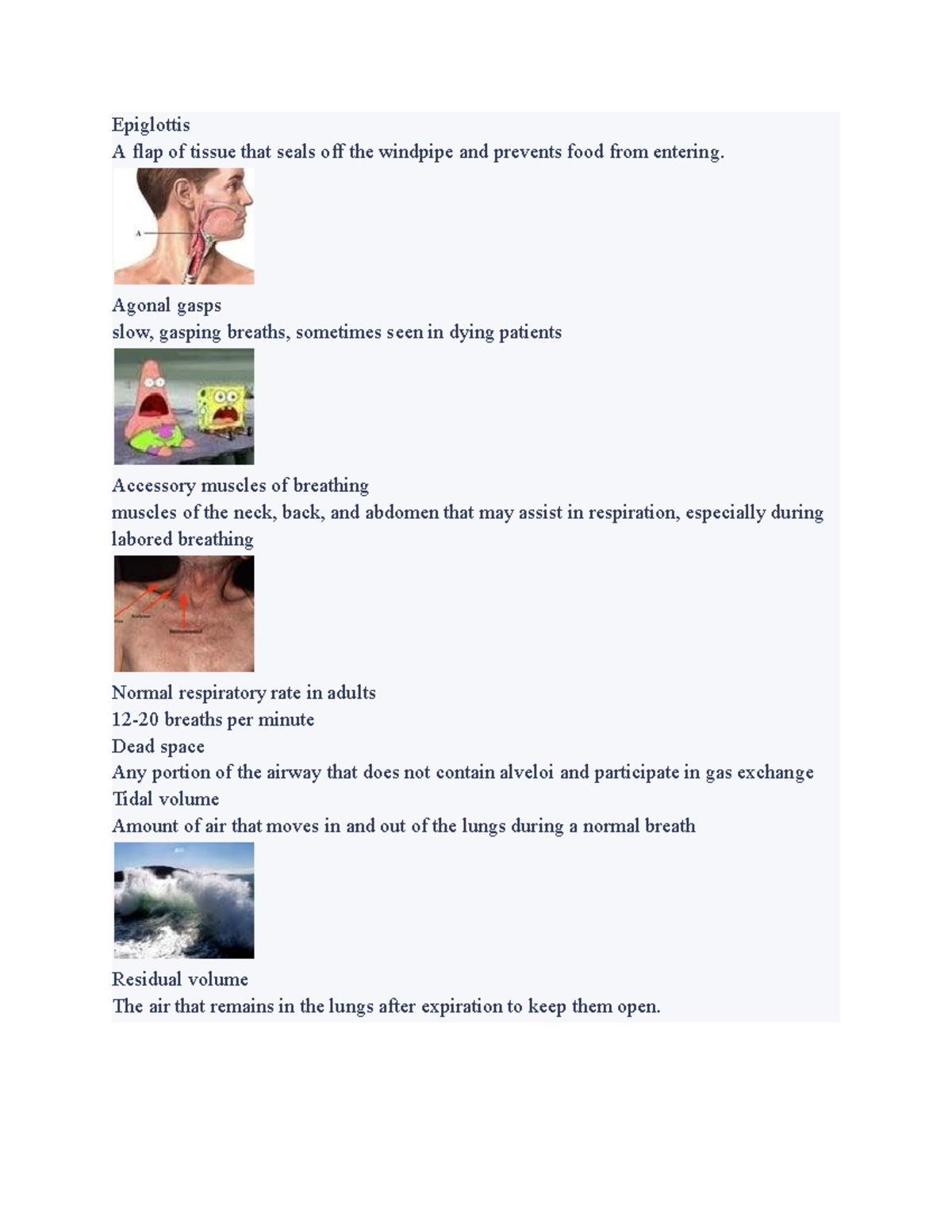 EMS 3 - practice materials - Epiglottis A flap of tissue that seals off ...
