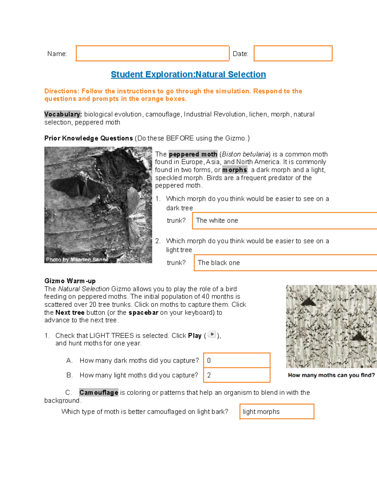 Alison Vargas Caicado - Natural Selection Gizmo on Peppered Moth - BIOL ...